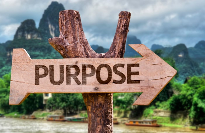 Lack of purpose | I Do Business