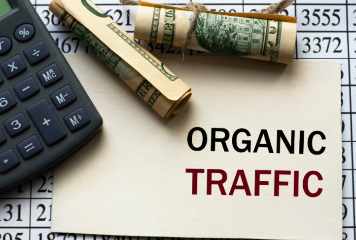 Why is Organic Traffic Important | I Do Business
