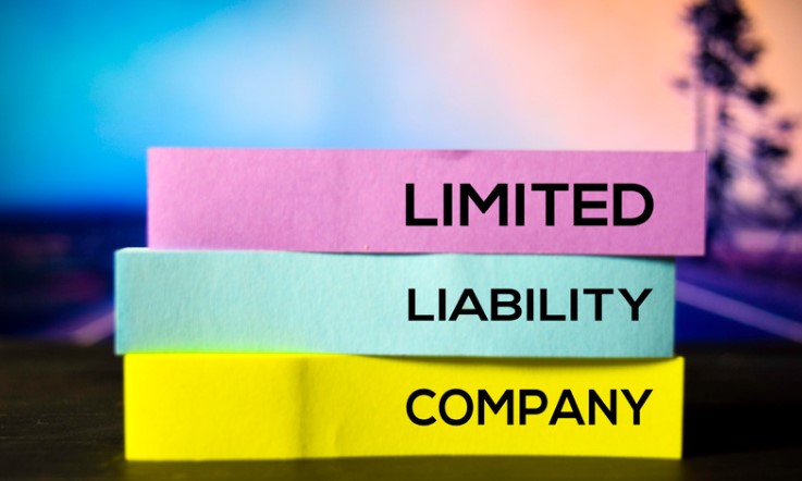What is a Limited Company | I Do Business